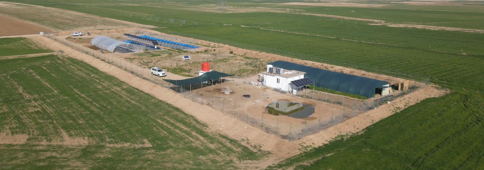 Model farm established in Alqosh, Iraq - Ökumenikus Segélyszervezet