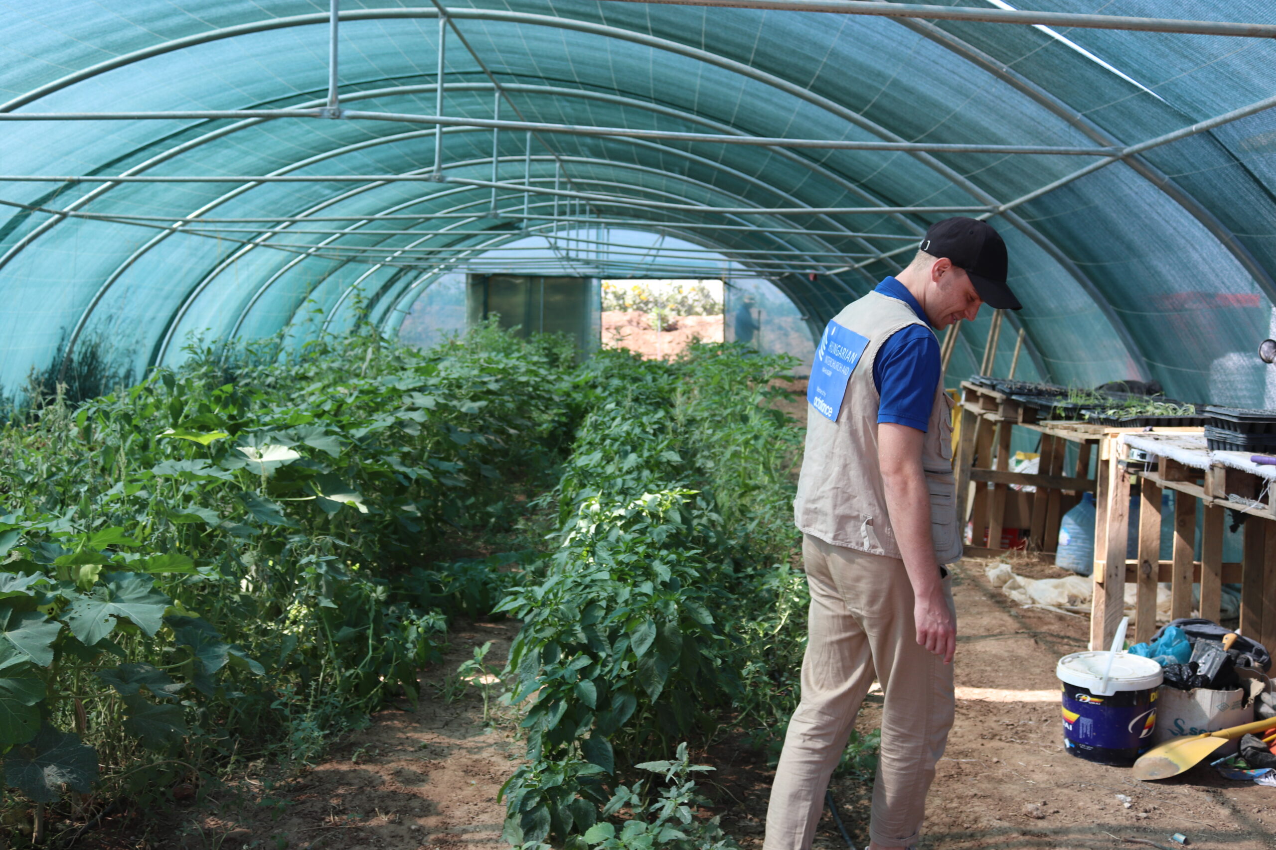 Supporting farmers and rehabilitation of agriculture in the Ninewa ...